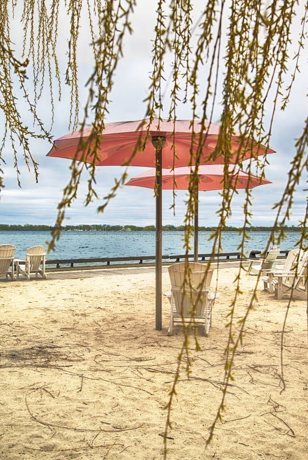 Sugar Beach in Toronto, Canada Stock Image - Image of holiday, tree ...