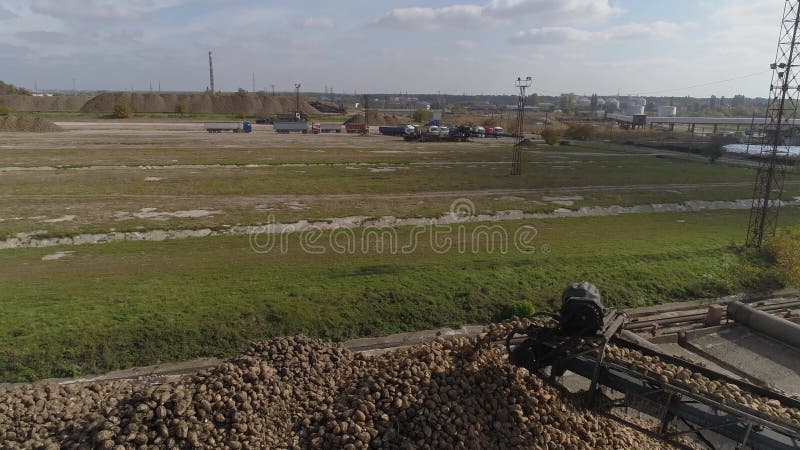 Processing of Sugar Beet in Sugar Beet Factory in Autumn Stock Image ...