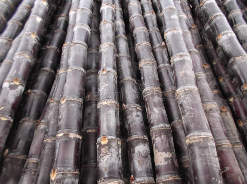 214 Feature Snacks Photos - Free & Royalty-Free Stock Photos from ...