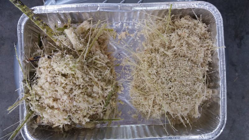 Sugar cane fiber stock image. Image of fiber, cane, colombia - 95310829