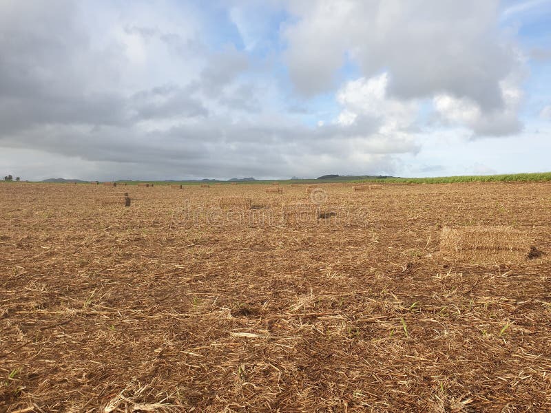 Ranfen Stock Photos - Free & Royalty-Free Stock Photos from Dreamstime