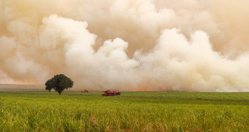 Sugar Cane Fire Plantation Smoke Stock Image - Image of yellow, hell ...