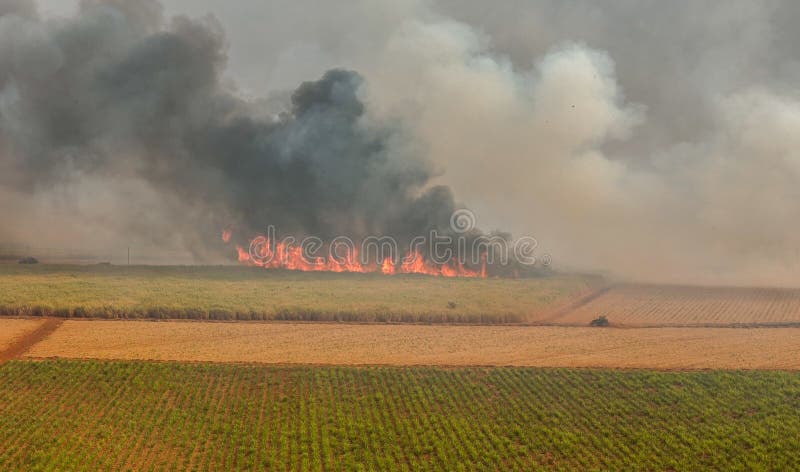 Sugar Cane Fire Plantation Smoke Stock Photo - Image of burn ...