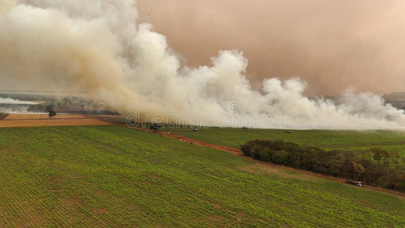 Sugar Cane Fire Plantation Smoke Stock Image - Image of fire, field ...
