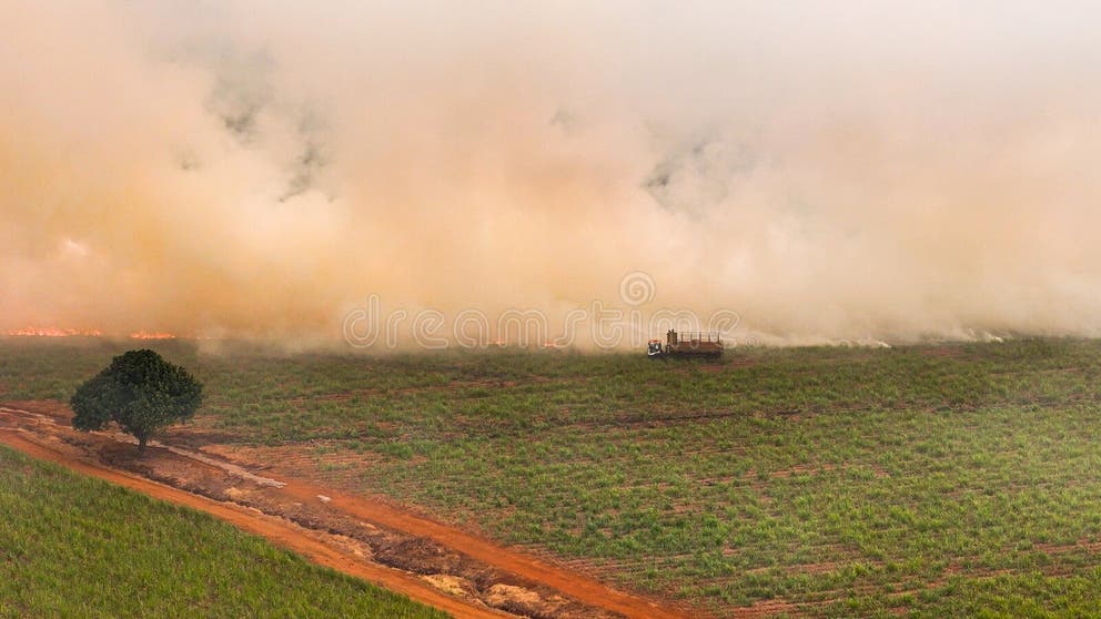 Sugar Cane Fire Plantation Smoke Stock Image - Image of background ...