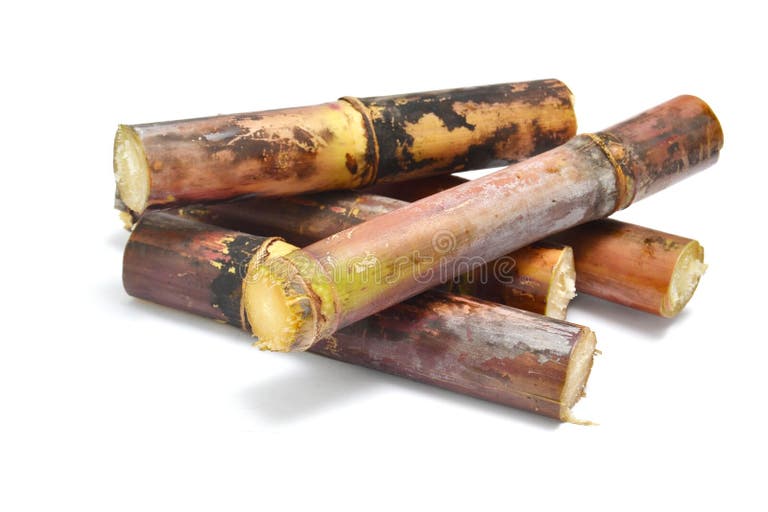 577 Single Sugarcane Stock Photos - Free & Royalty-Free Stock Photos ...