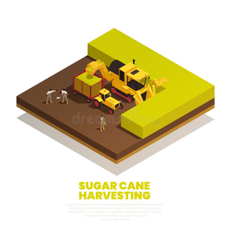 Sugar Cane Harvesting Stock Illustrations – 838 Sugar Cane Harvesting ...