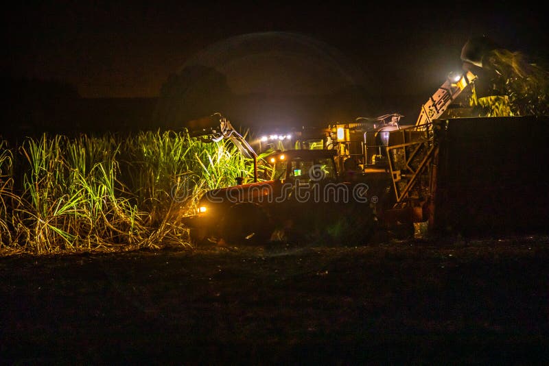 Sugar Cane Hasvest Plantation Night Stock Photo - Image of industry ...