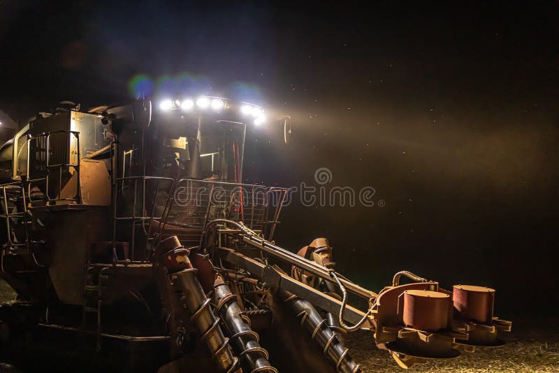 Sugar Cane Hasvest Plantation Night Stock Image - Image of future ...