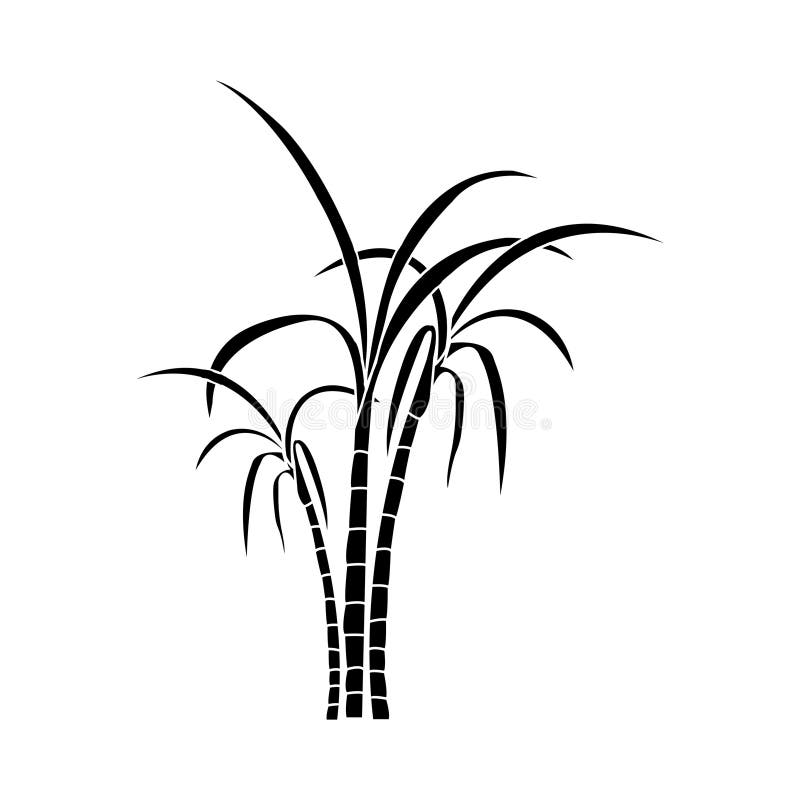 Sugar cane icon stock vector. Illustration of heap, production - 283134279