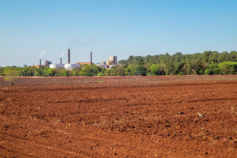 Sugar cane industry stock photo. Image of brazil, soil - 95560720