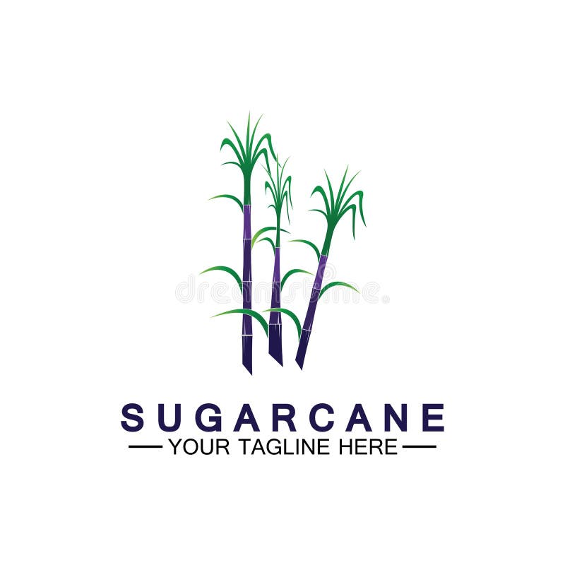 Sugar Cane Logo Icon Symbol Vector Illustration Design Template Stock ...