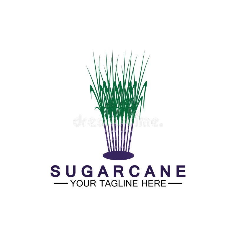 Sugar Cane Logo Icon Symbol Vector Illustration Design Template Stock ...