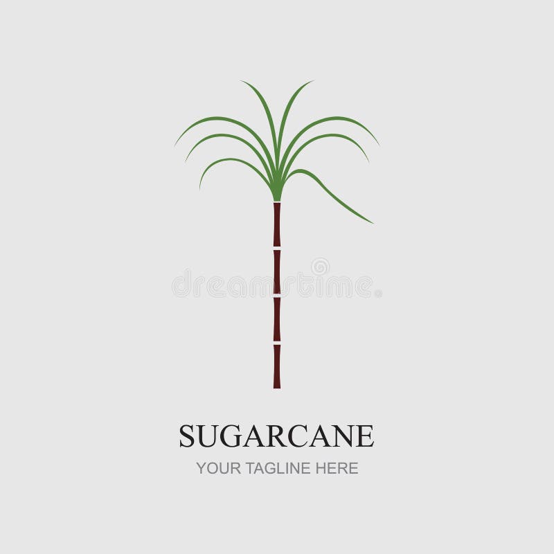 Sugar Cane Logo Icon Symbol Vector Illustration Design Template Stock ...