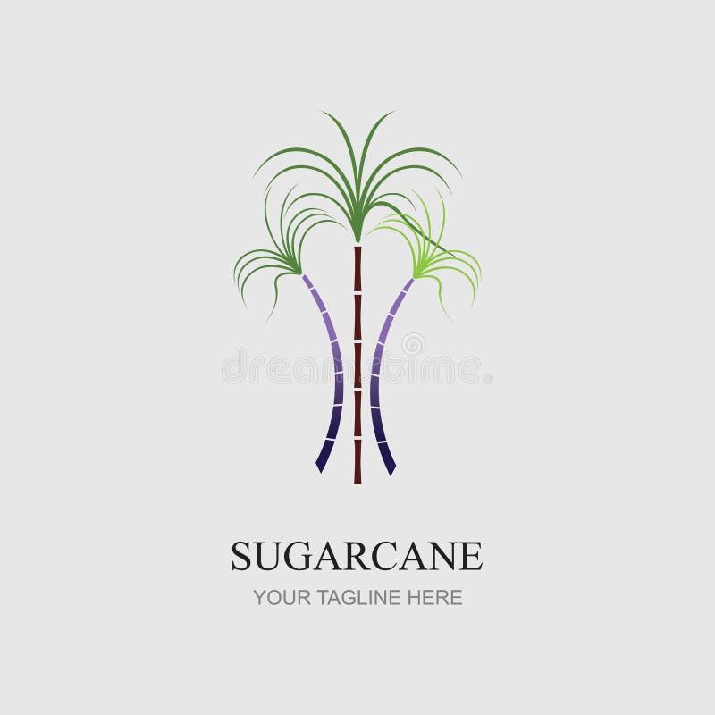 Sugar Cane Logo Icon Symbol Vector Illustration Design Template Stock ...