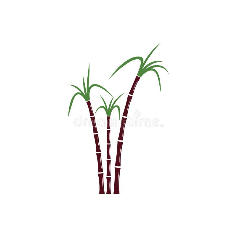 Sugar Cane Logo Template Vector Symbol Stock Vector - Illustration of ...