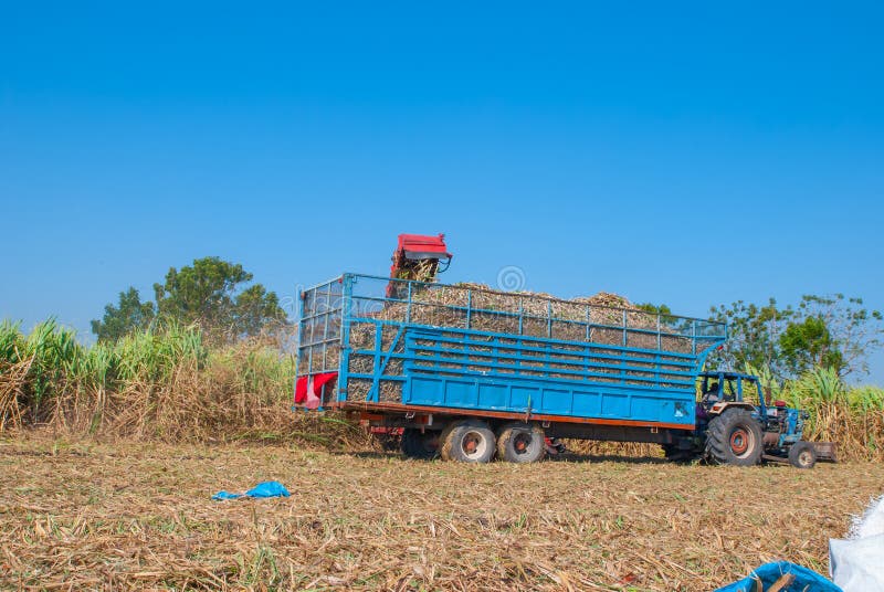 Sugar Cane Machine, Sugar Cane Machine in Thailand Editorial Photo ...