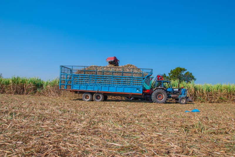 Sugar Cane Machine, Sugar Cane Machine in Thailand Stock Photo - Image ...