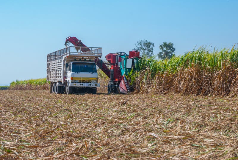 Sugar Cane Machine, Sugar Cane Machine from Thailand Country Editorial ...