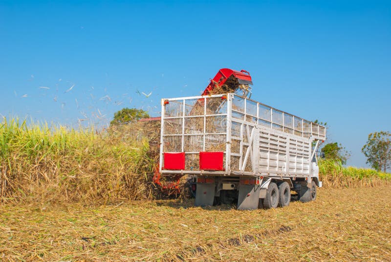 Sugar Cane Machine, Sugar Cane Machine from Thailand Country Editorial ...