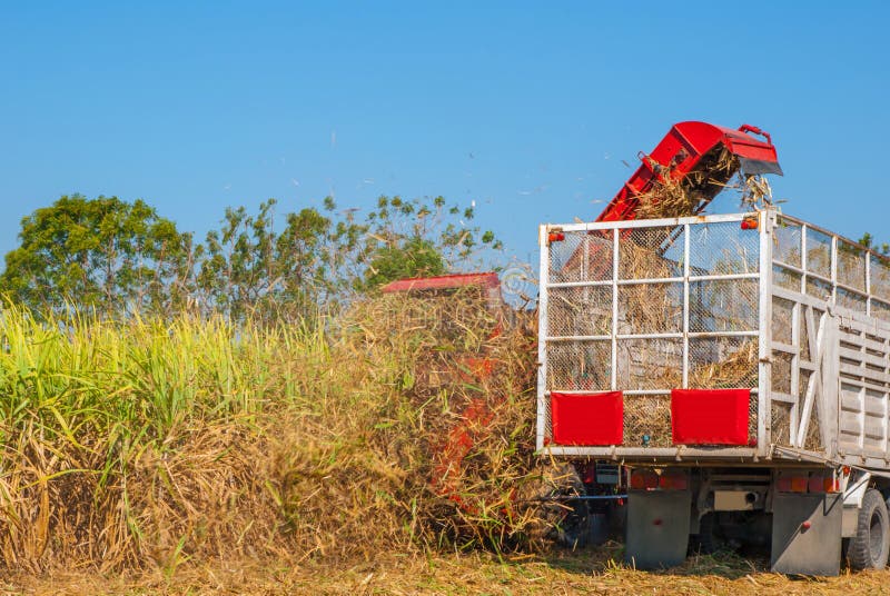 Sugar Cane Machine, Sugar Cane Machine from Thailand Country Editorial ...
