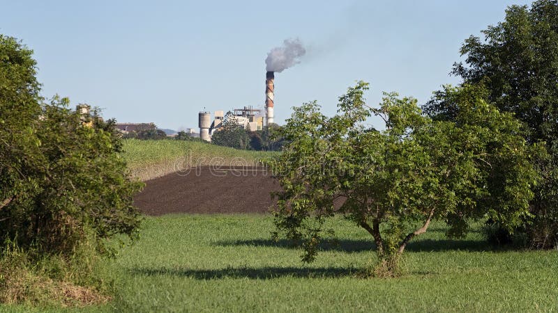 Sugar Cane Mill Across a Paddock Stock Photo - Image of agriculture ...