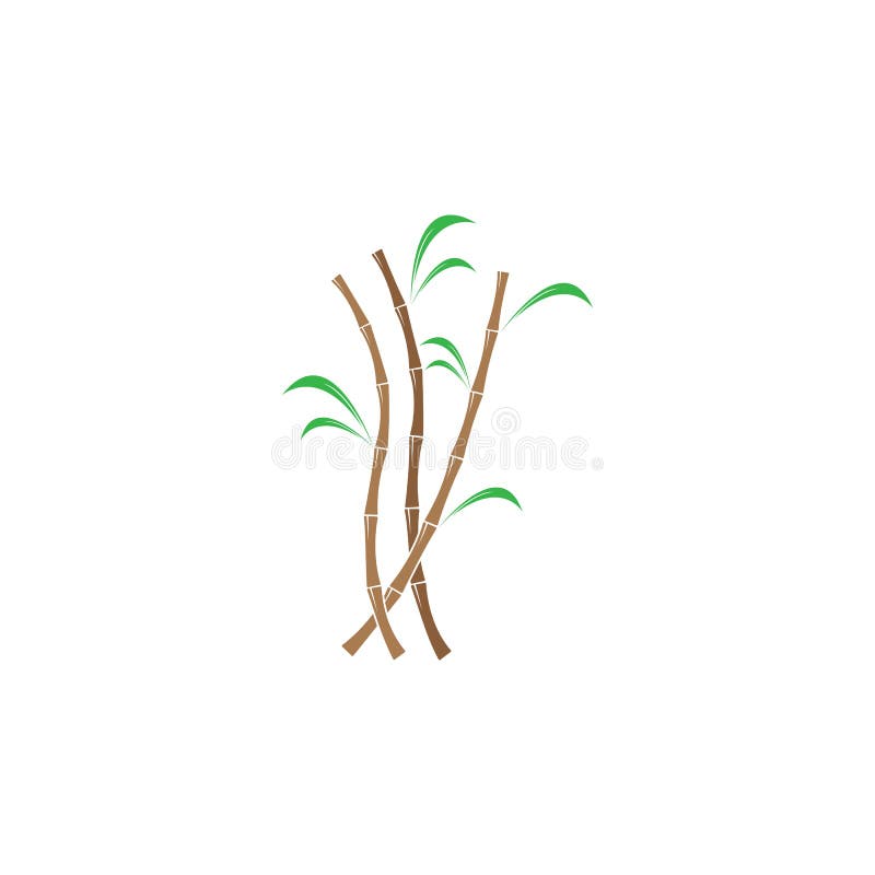 Sugar Cane Plant Logo Vector Stock Vector - Illustration of nature ...
