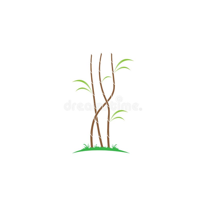 Sugar Cane Plant Logo Vector Stock Vector - Illustration of emblem ...