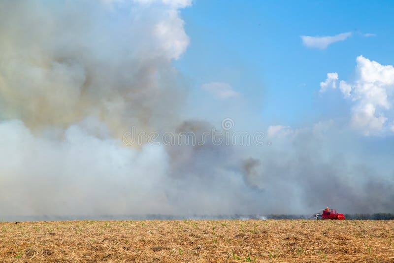368 Sugar Cane Field Fire Stock Photos - Free & Royalty-Free Stock ...