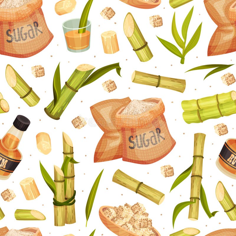 Sugar Cane Banner Design with Stem Plant Vector Template Stock Vector ...