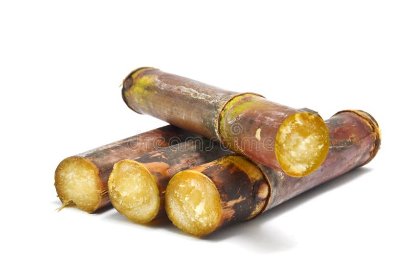 Sugar cane stock image. Image of chew, nature, food, herbal - 44095487