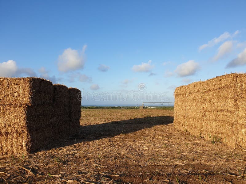 Ranfen Stock Photos - Free & Royalty-Free Stock Photos from Dreamstime