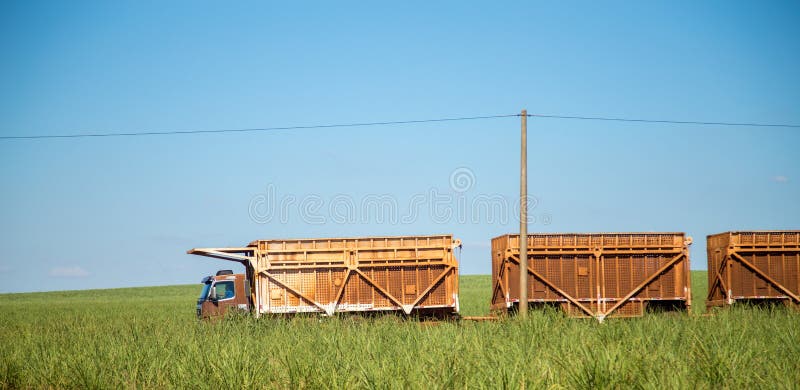 Sugar cane transporter stock photo. Image of industrial - 95559974