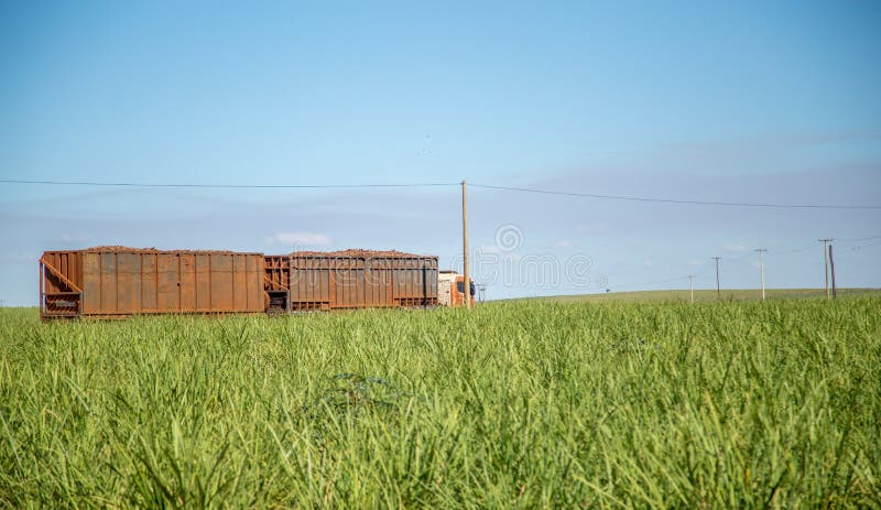 Sugar cane transporter stock photo. Image of fuel, energy - 95560518