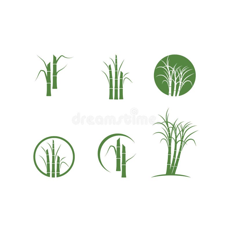 Sugar cane tree logo stock vector. Illustration of design - 173689736