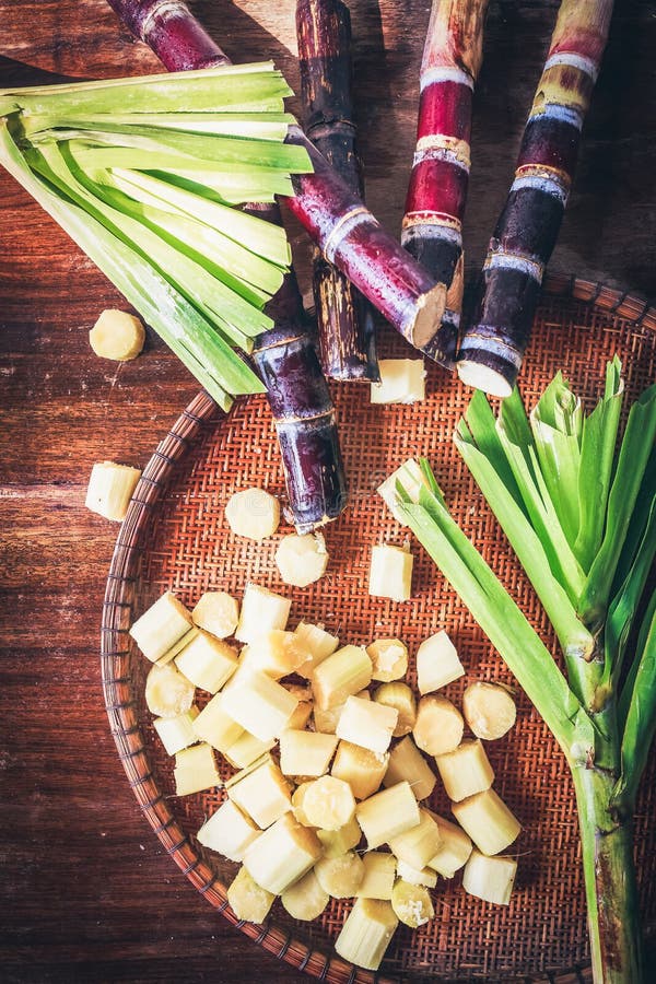 Sugar Canes stock photo. Image of farm, farming, healthycare - 73072754