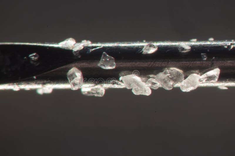 Sugar Crystals As Candy on a Neadle Stock Image - Image of close, glow ...