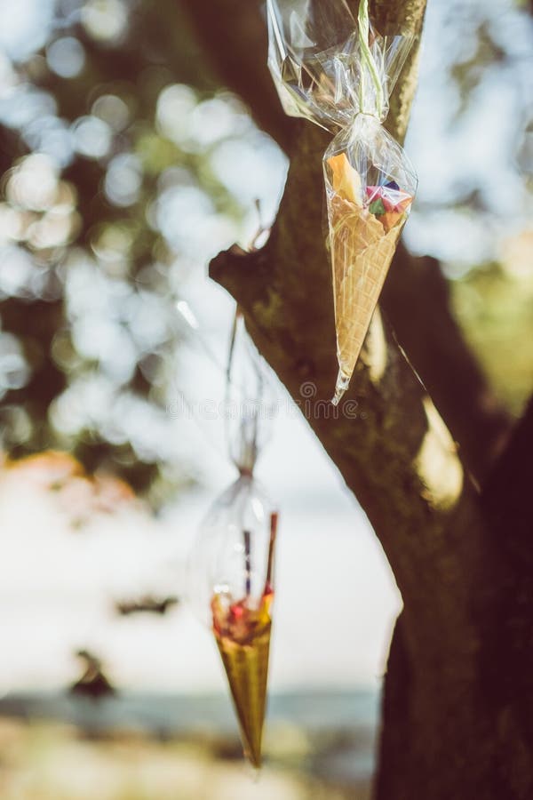 Sugar Cup First Day at School Stock Image - Image of happiness, green ...