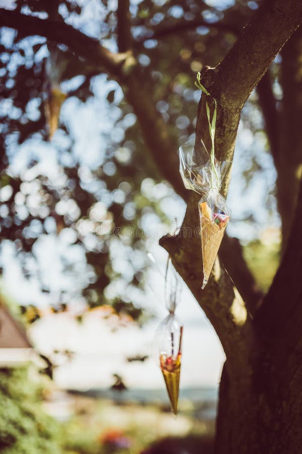 Sugar Cup First Day at School Stock Image - Image of nature, child ...