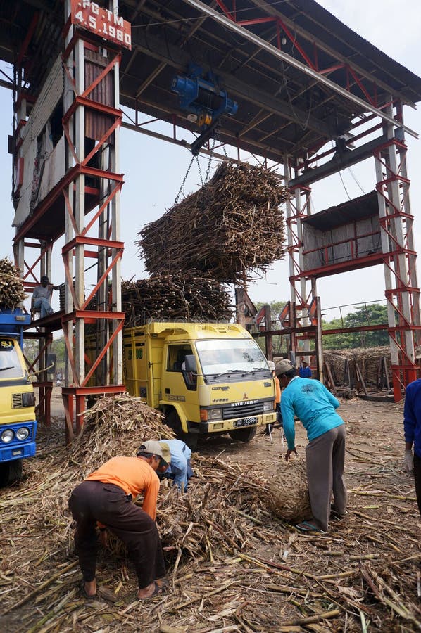 Sugar factory editorial photo. Image of cane, weighing - 58258106