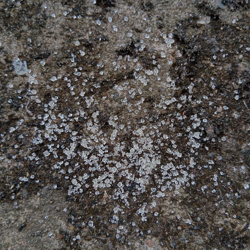 Sugar Grains Scattered on the Ground Stock Image - Image of ground ...