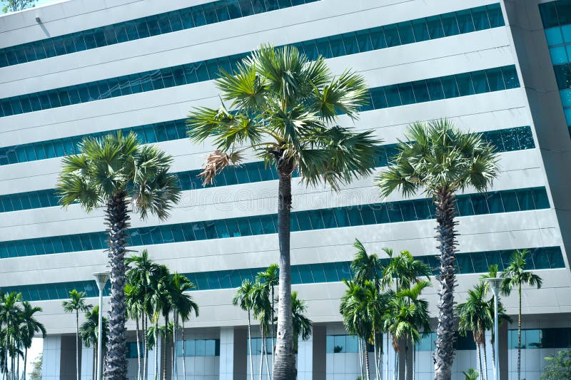 Sugar Palm is a Decorated Building. Stock Image - Image of reflection ...