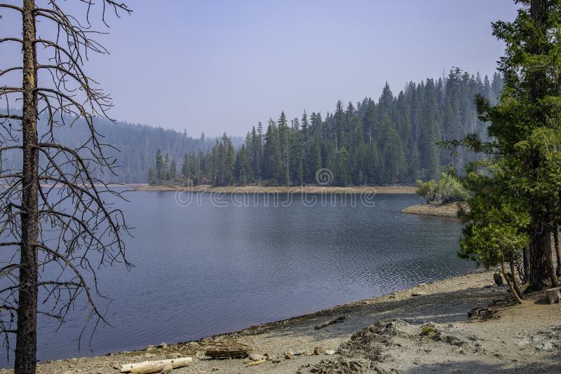 Sugar Pine Point State Park Trees Blue Stock Photo - Image of mountains ...