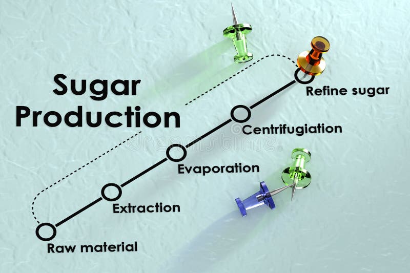 Sugar Production Flow Chart with Thumbtack Stock Illustration ...