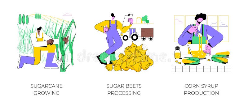 Sugar Production Isolated Cartoon Vector Illustrations. Stock Vector ...