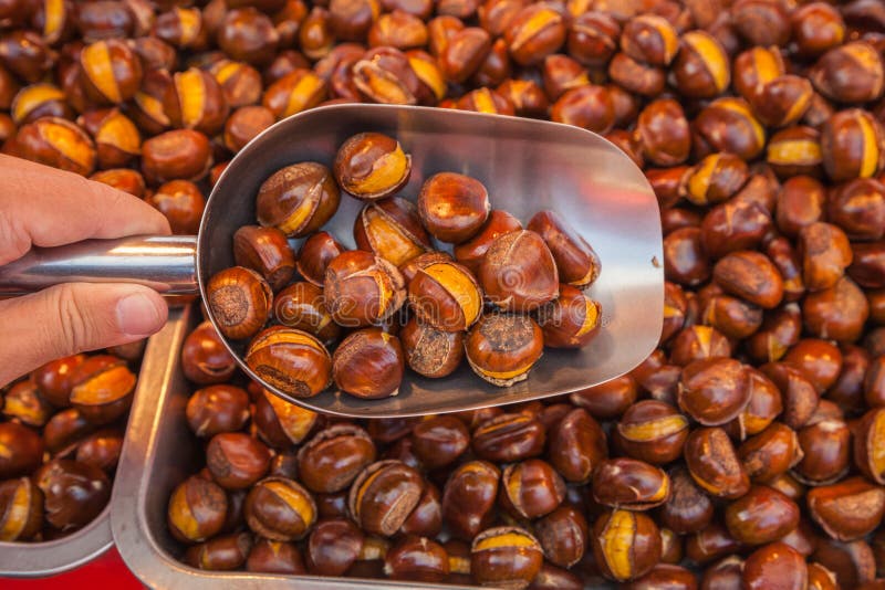Sugar roasted chestnuts stock photo. Image of closeup - 26732212
