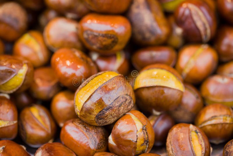 Sugar roasted chestnuts stock photo. Image of closeup - 26732212