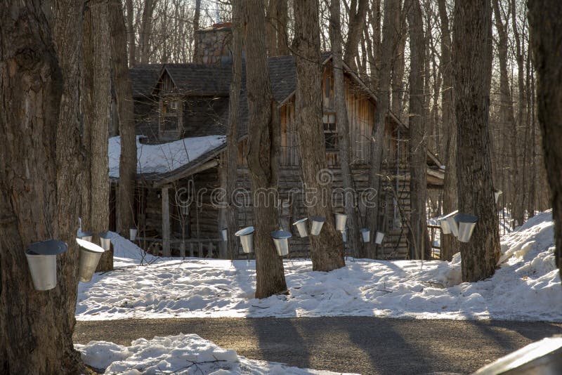 Canada sugar shack stock photo. Image of sugar, snowy - 22348742