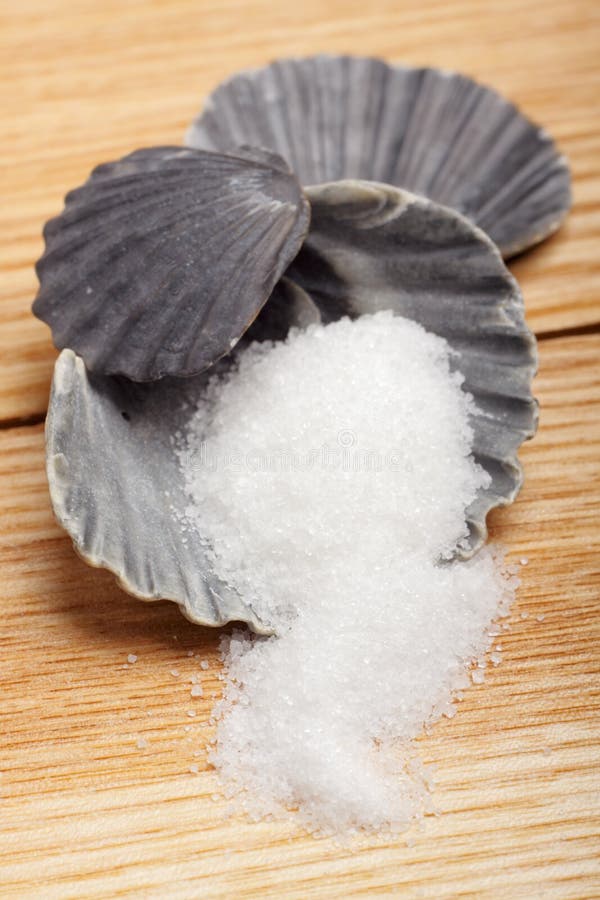 Sugar in shell stock image. Image of shell, sugar, board - 25405823