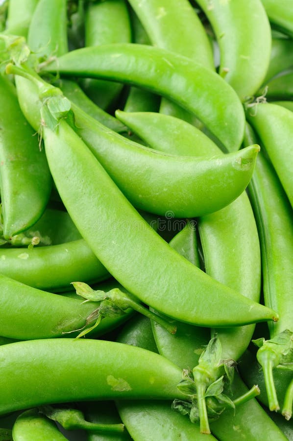 Sugar snap peas stock photo. Image of pile, eating, snap - 12669398
